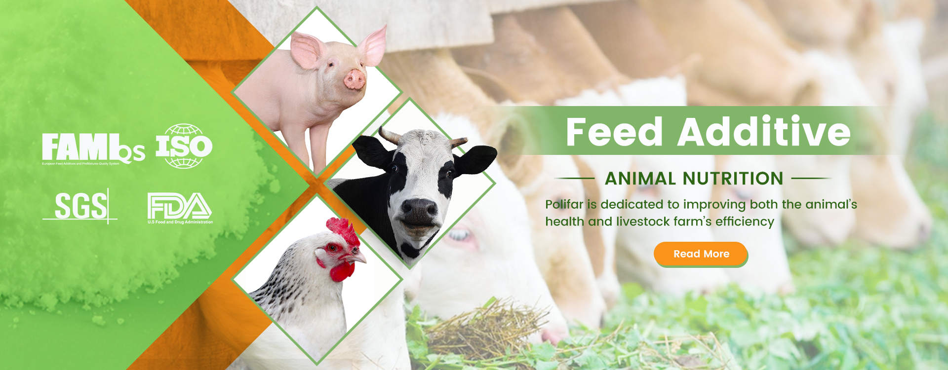 Feed Additives And Food Additives manufacturers - Polifar